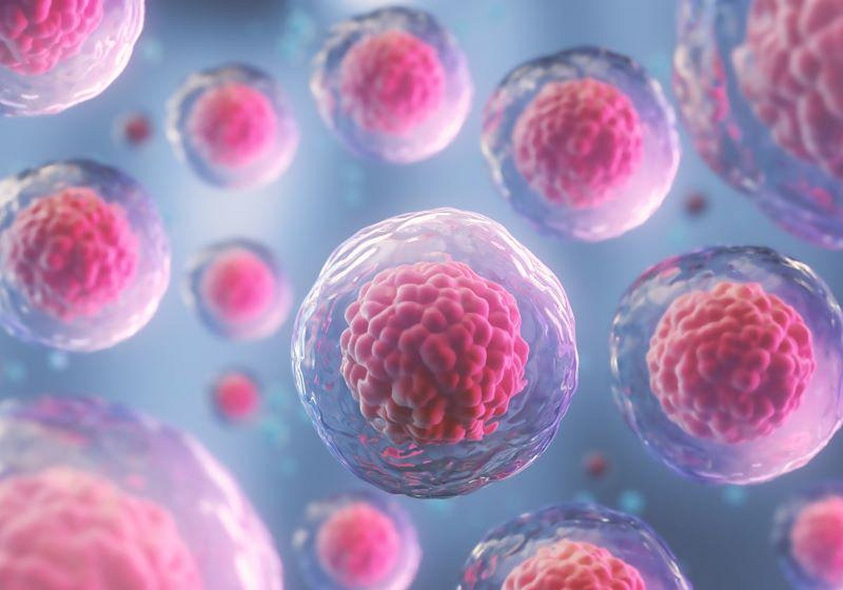 'Human Cell Atlas' Maps 1 Million Cell Types in 33 Organs - Drugs.com ...